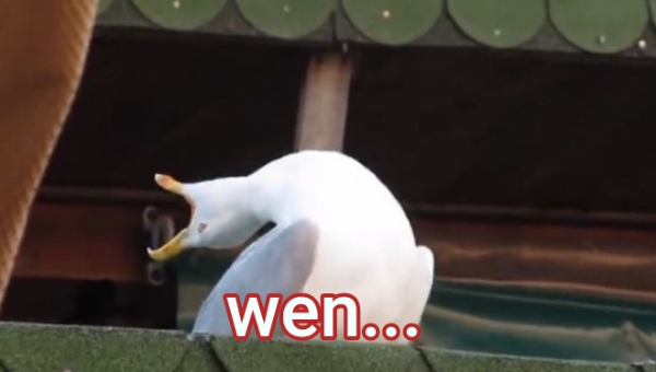 wen... - Generador Memes