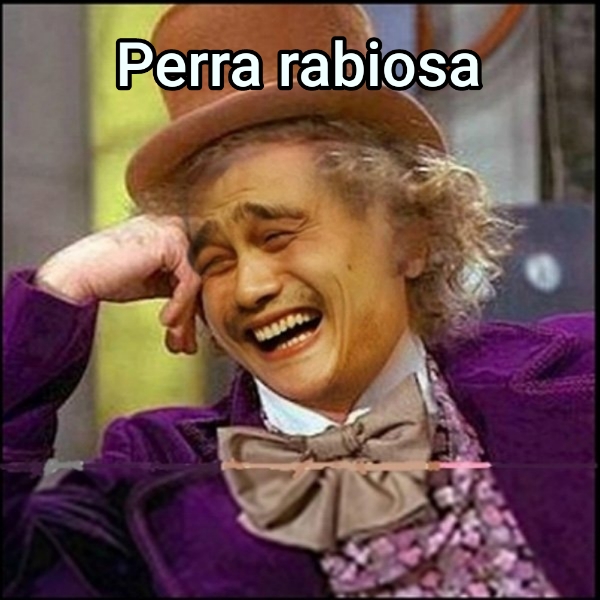 Perra rabiosa - Generador Memes