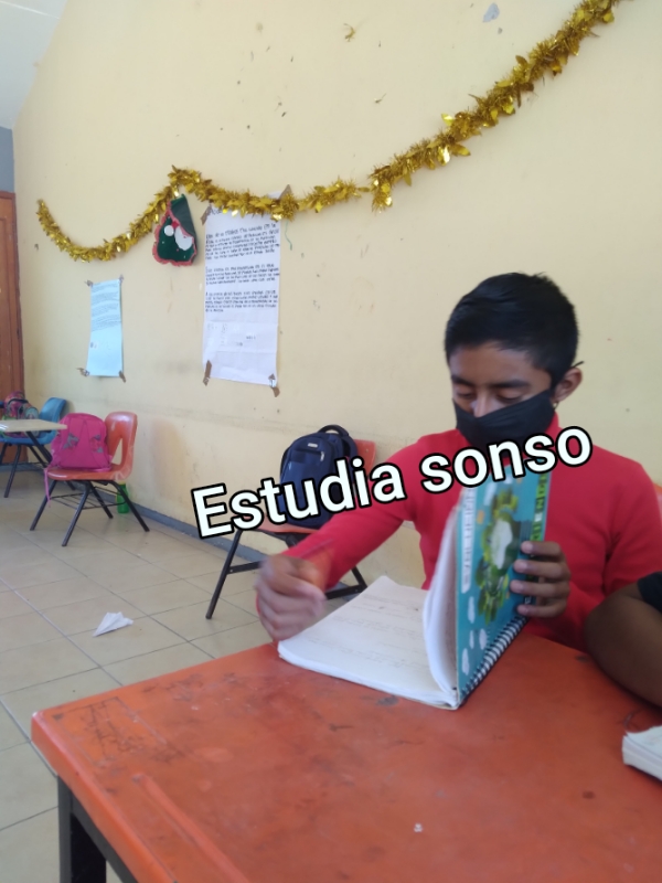 Estudia sonso - Generador Memes