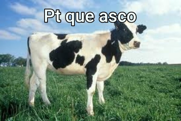 Pt que asco - Generador Memes