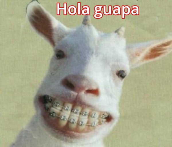Hola guapa - Generador Memes
