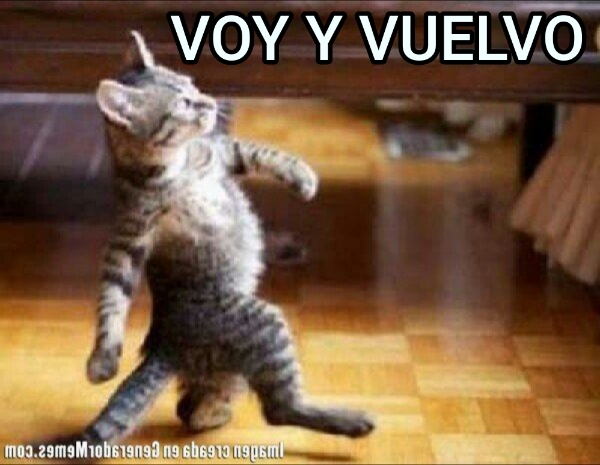 VOY Y VUELVO - Generador Memes