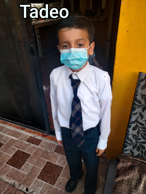 Tadeo - Generador Memes